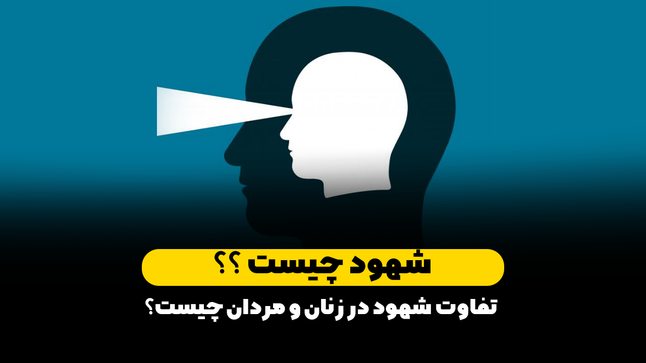 شهود چیست ؟؟؟تفاوت شهود در زنان و مردان چیست؟؟؟ آقای 6 صبح